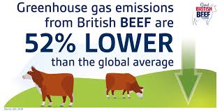 Celebrating Great British Beef Week - Stanford Park Farm