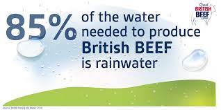 Celebrating Great British Beef Week - Stanford Park Farm